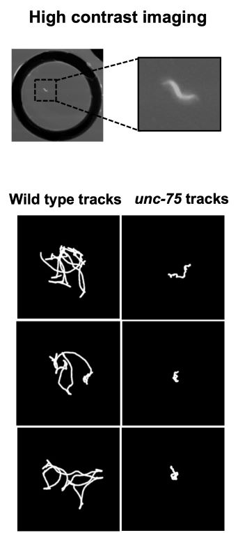 Prof John Calarco "excited and confident" after Canada Research Chair ...