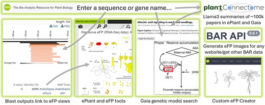 New tools give an AI boost to plant scientists at the BAR - Department ...